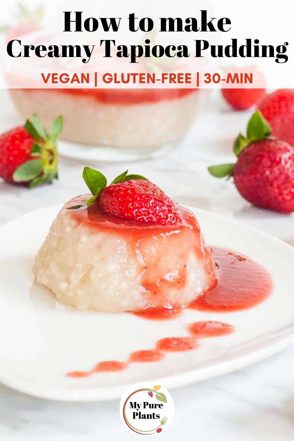 Vegan Tapioca Pudding