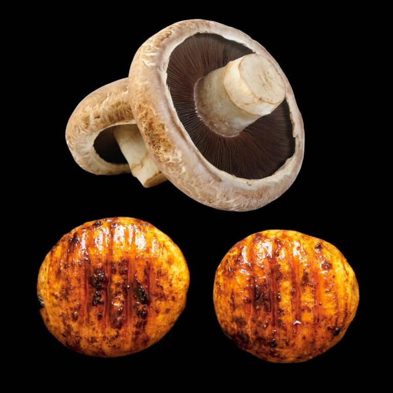 Guide to Portobello Mushrooms | 20+ Must-try Recipes! - My Pure Plants