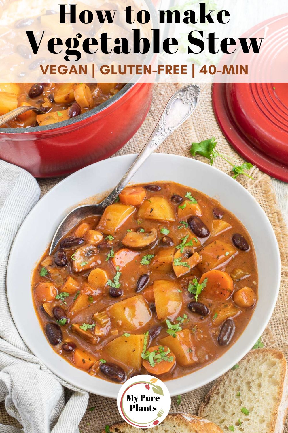 The Best Hearty Vegetable Stew - My Pure Plants