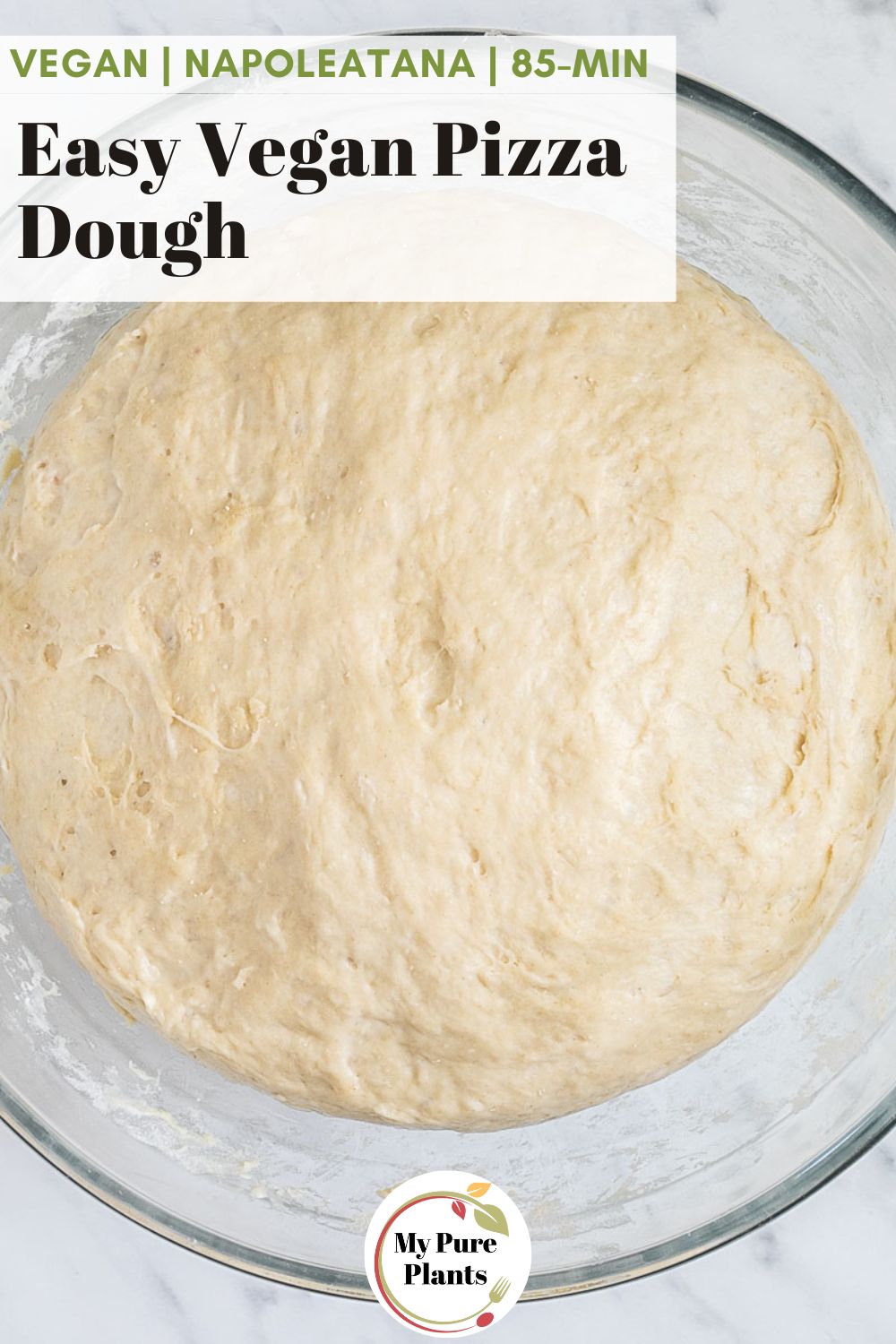 Vegan Pizza Dough (Neapolitan) - My Pure Plants